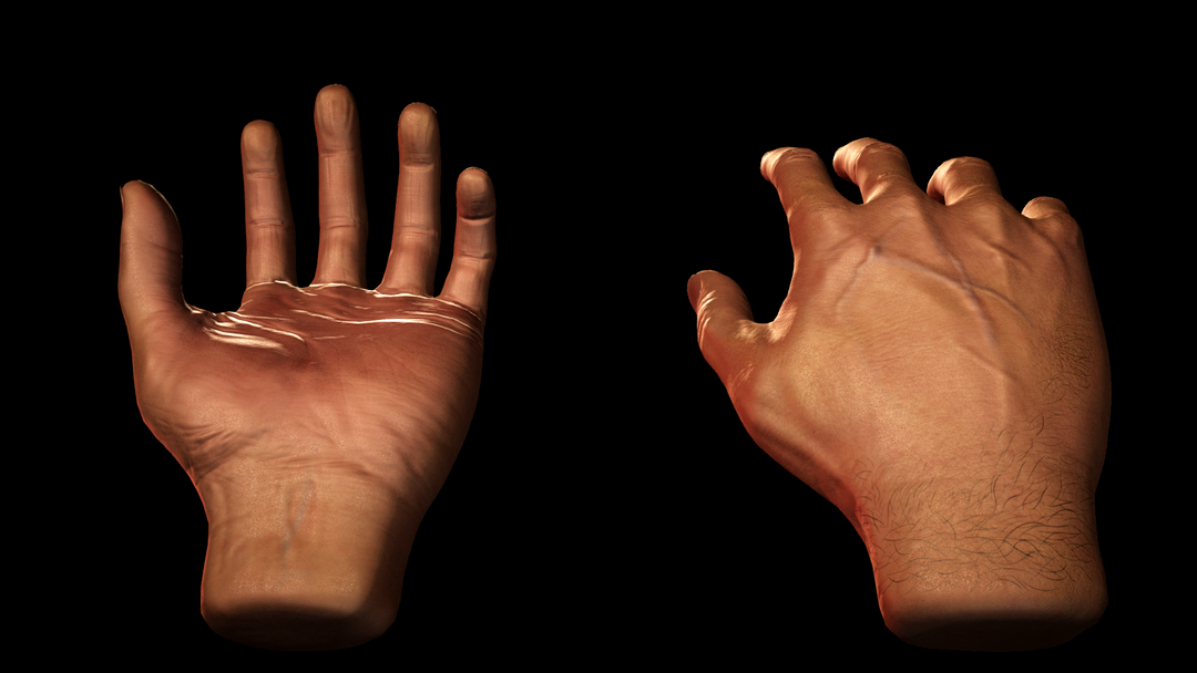 Hands - Unity and Unreal - CGHero
