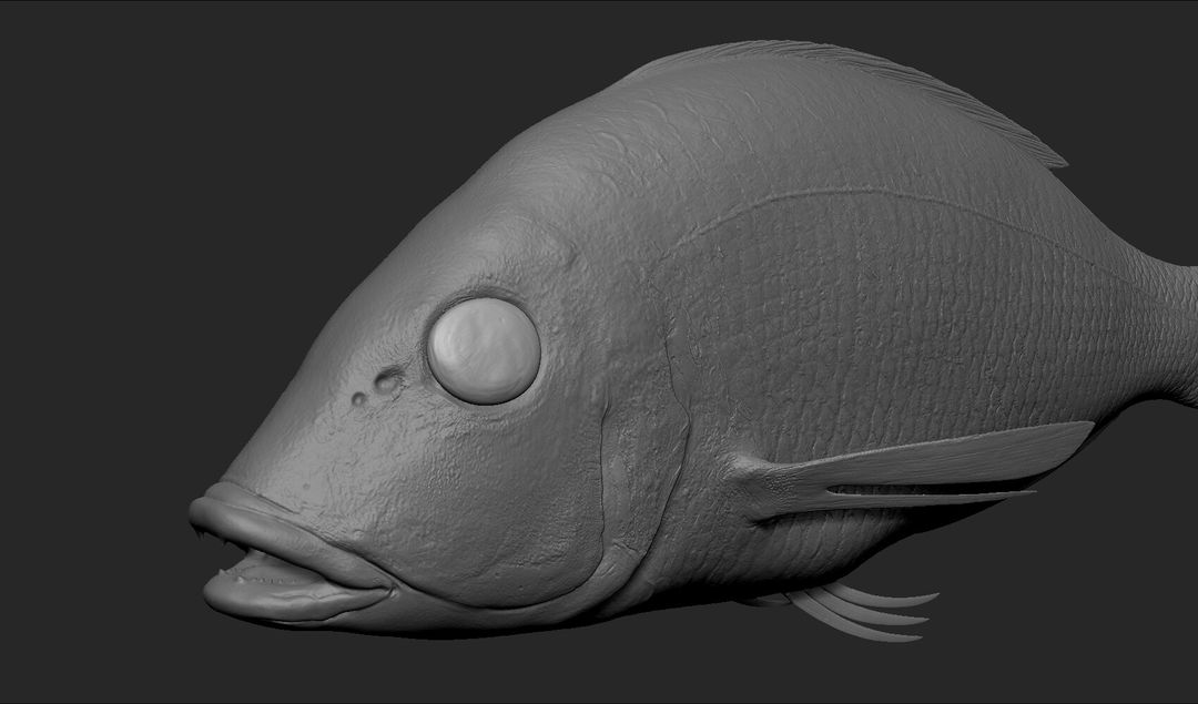 Realistic Fish - CGHero