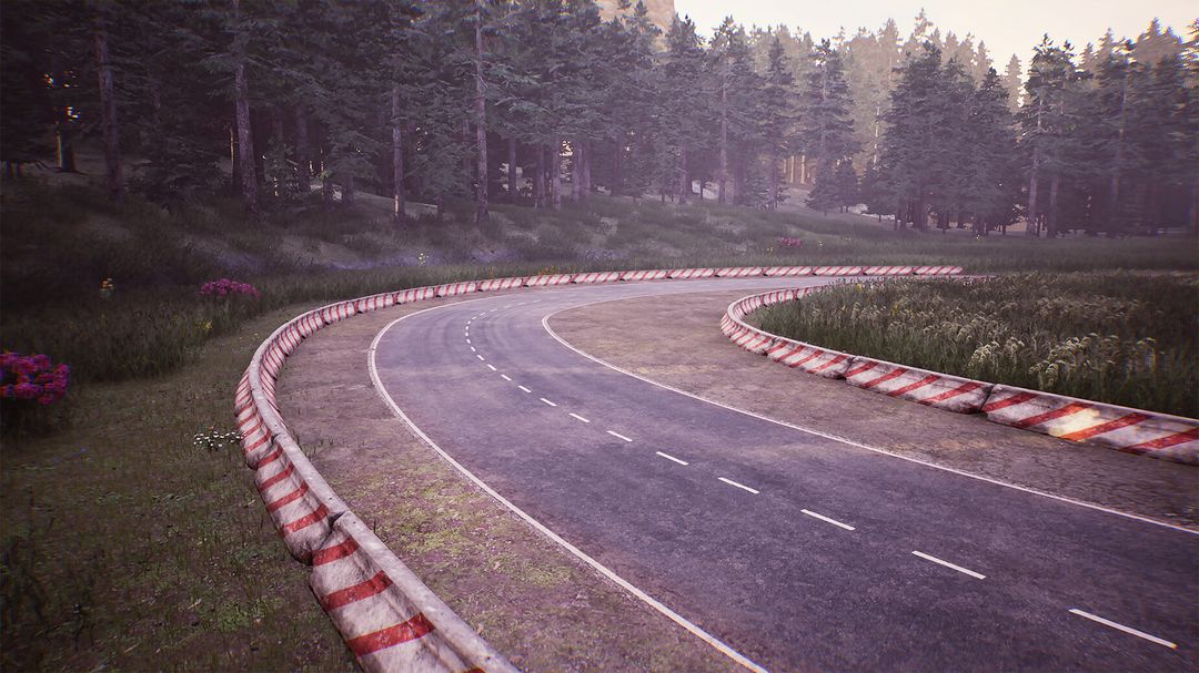 Forest Racing Track Environment - CGHero
